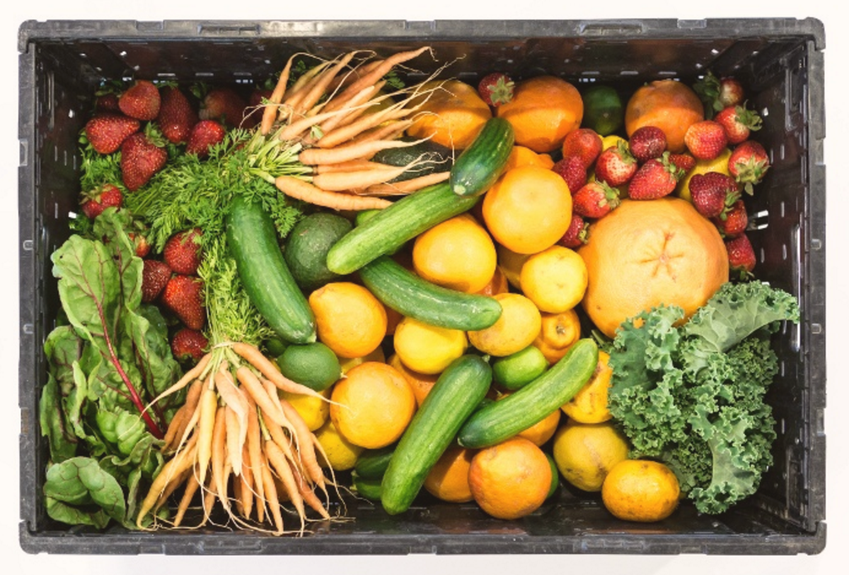 5 Essential Ingredients in Organizational Goal Setting | CEO-S Software
